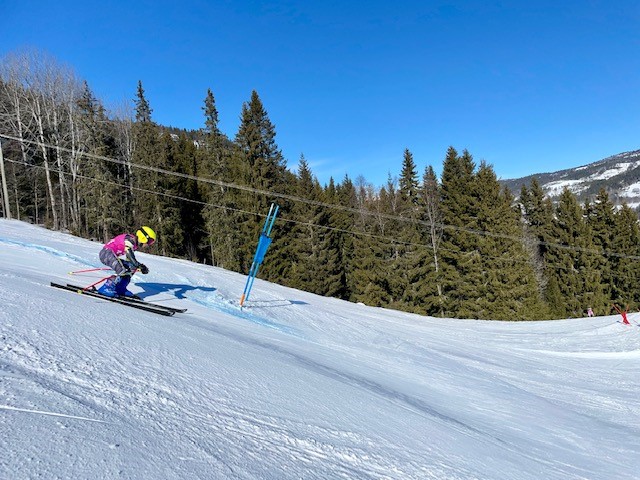 BAMA alpinfestival leverte